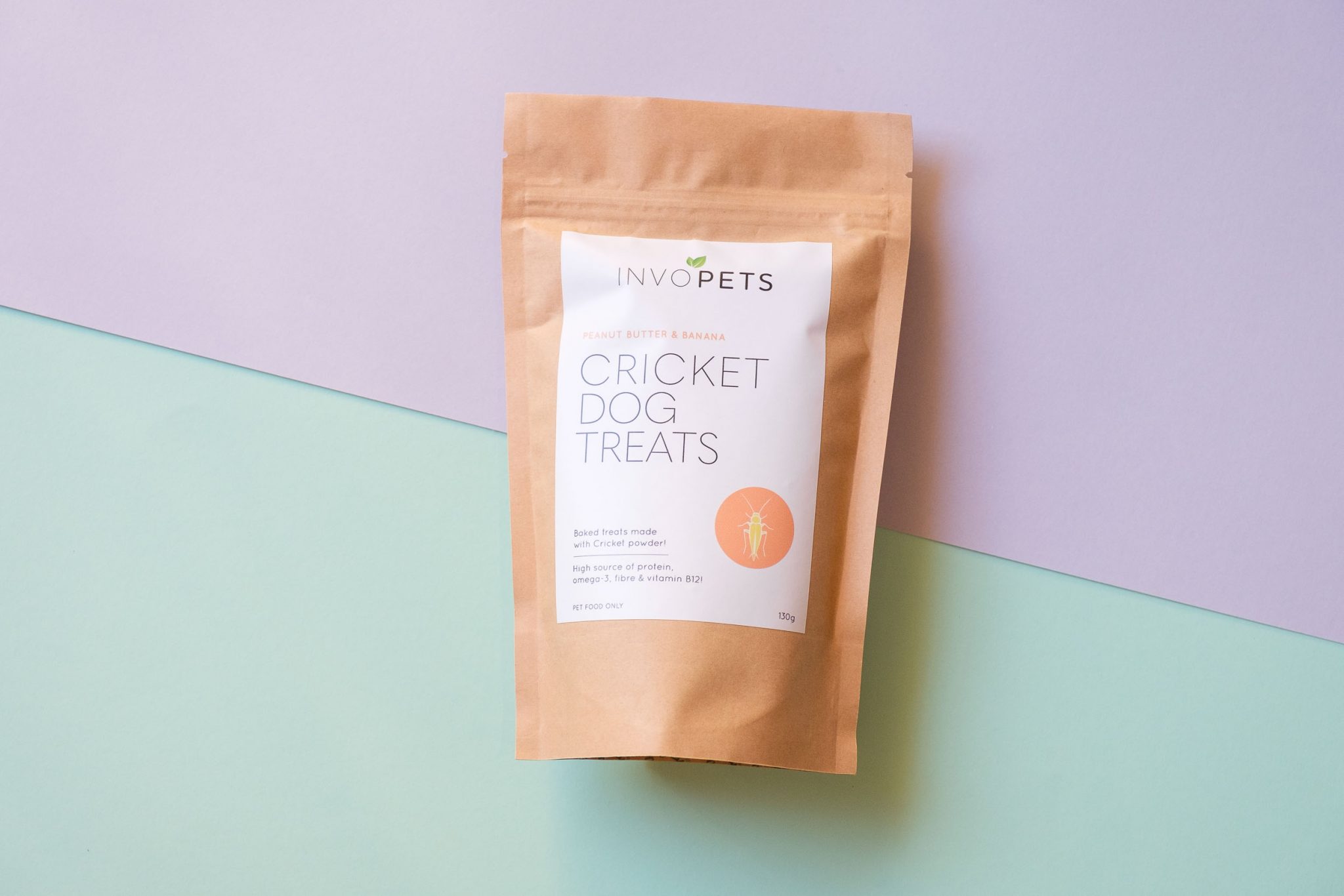 Is Insect-based Dog Food the next Pet Health Trend? 🐶 Off The Leash